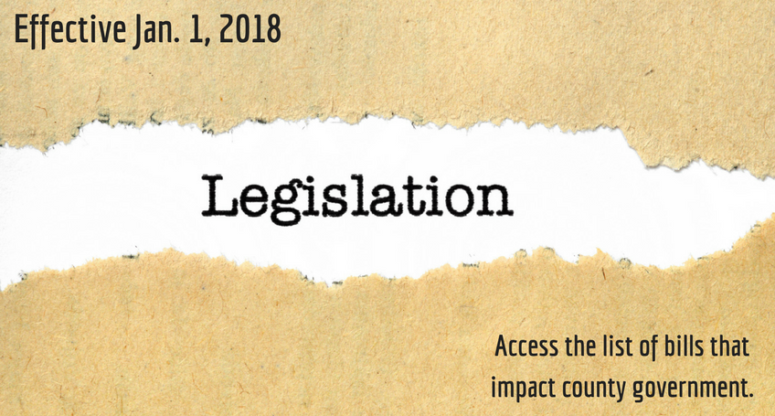 ACCG Advancing Georgia's Counties